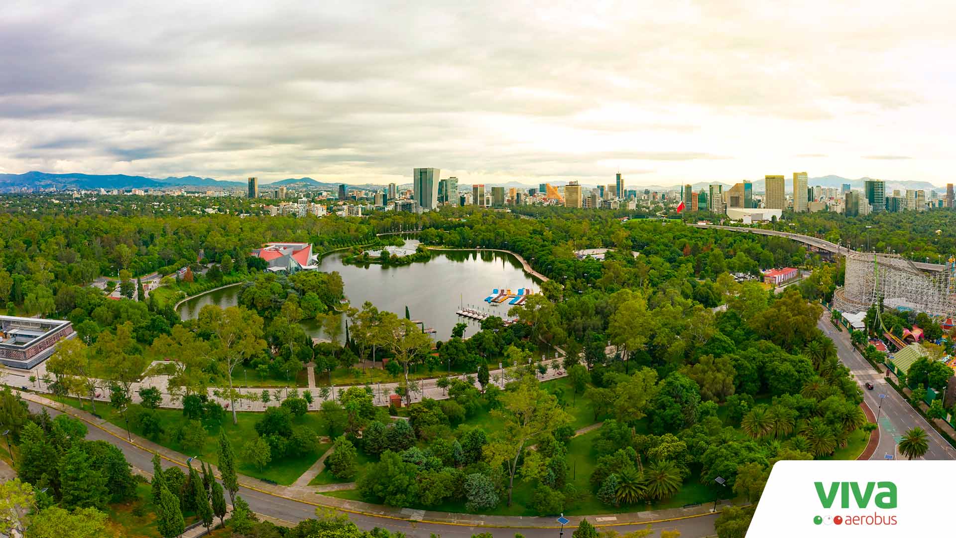 10 bosques en México que debes visitar - Blog Viva